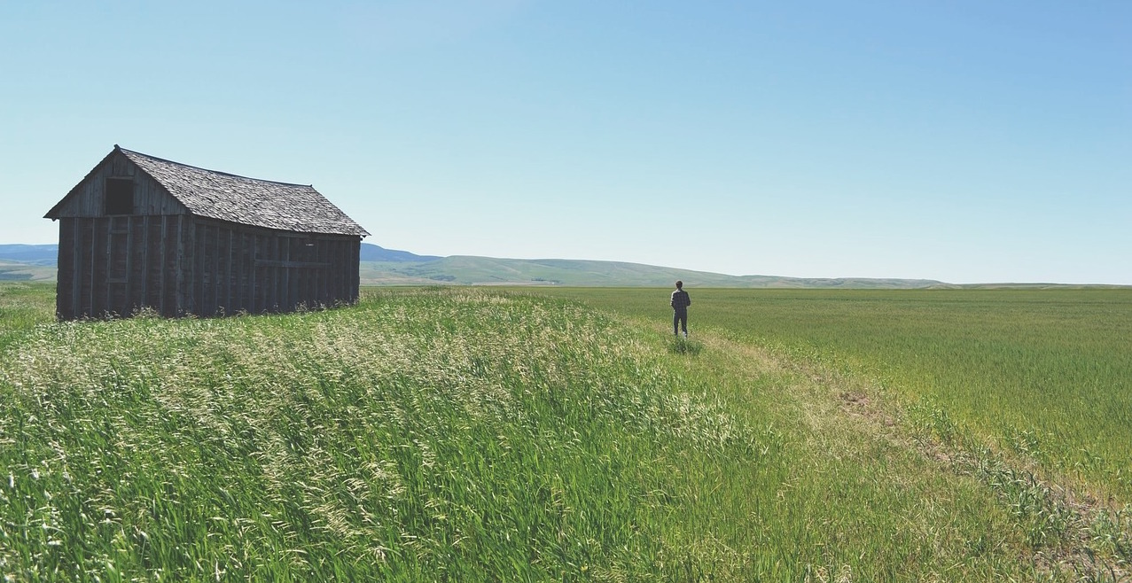 The executive leader of the FUTURE: Trusted Steward | Lead on Purpose